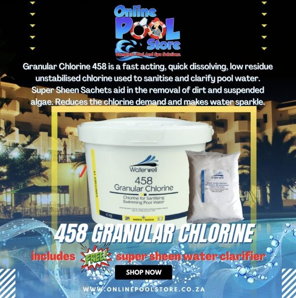POOL CHLORINE WATERWELL PROFESSIONAL 458 4KG (FREE WATER CLARIFIER ...